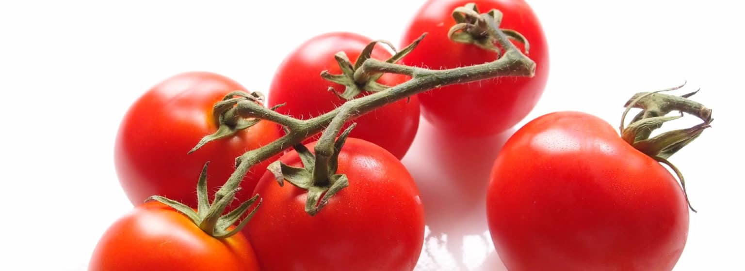 Nutrition Services - Anderson's Nutrition