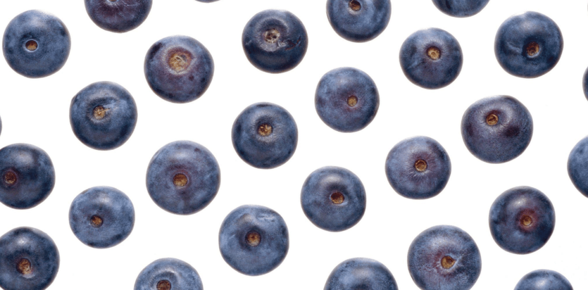 Rice Cake Treat with Blueberry - Anderson's Nutrition